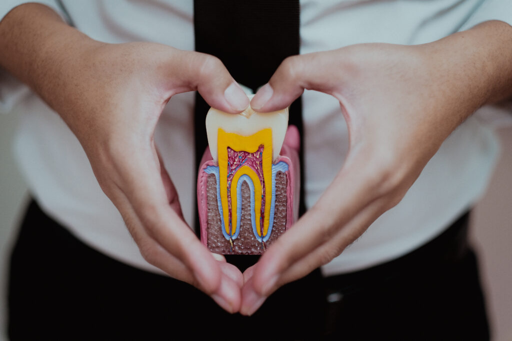 Foundation for Endodontics & Cornerstone Dental Specialties Launch New ...